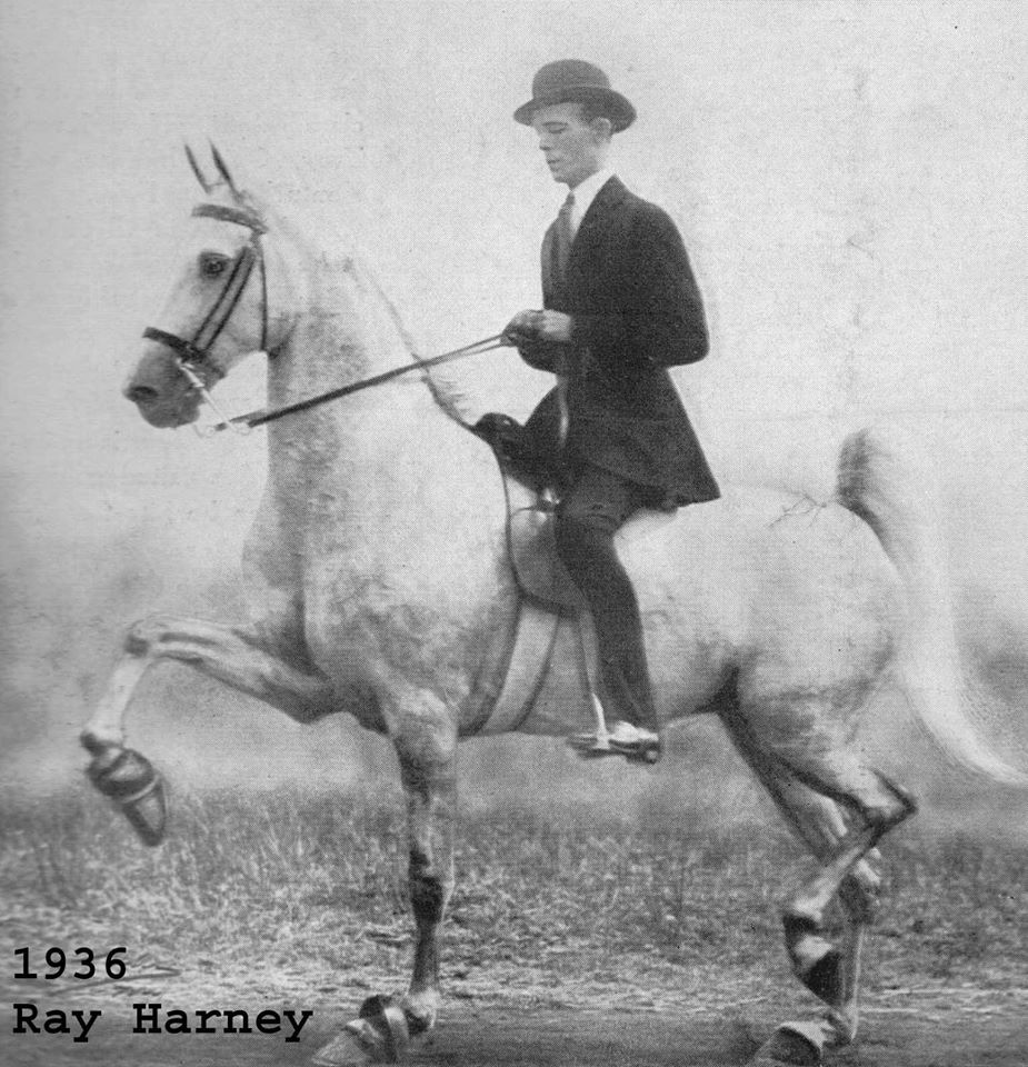 The American Saddlebred: 9/28/19 Reserve World's Grand Champions