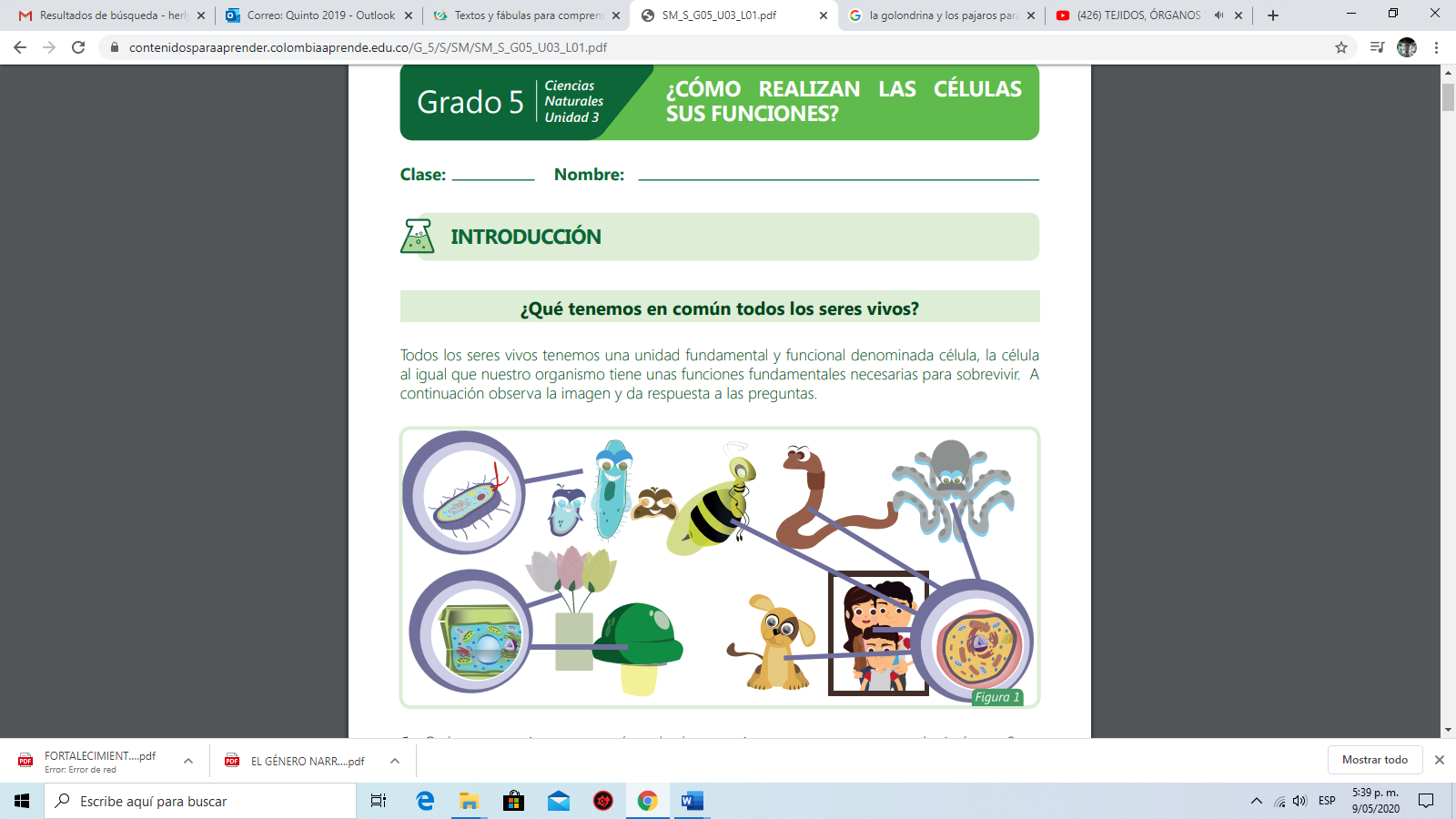 THECHAMPIONSGRADE4THJEGA: CIENCIAS: LA CELULA