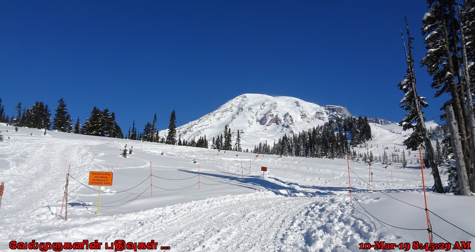 Paradise Valley Mount Rainier - Exploring My Life