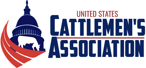 The American Cowboy Chronicles: Martha Cothren Teaches Her Students ...