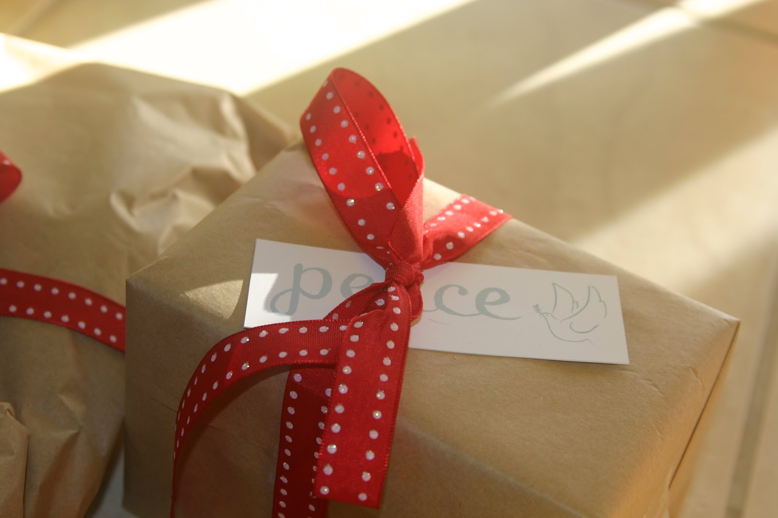 Le plus beau cadeau de Raymond Richard