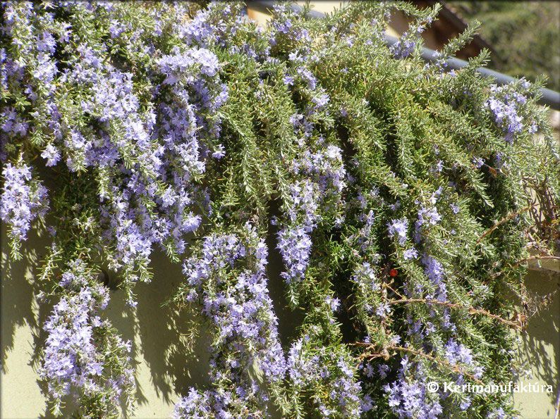 Kertmanufaktúra: A kőfalak leomlanak