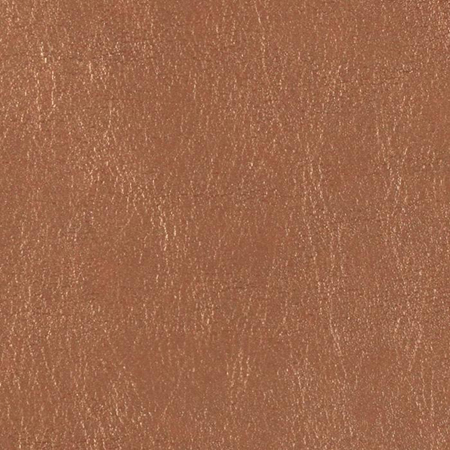 Aesthetic Oiseau: Metallic Leather Fabric