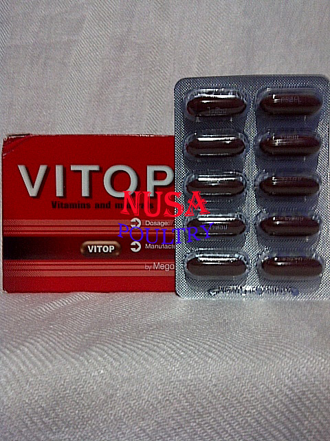 OBAT AYAM ***: *** MULTIVITAMIN AYAM ADUAN