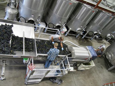 Proceso de Elaboración del Vino Tinto: Proceso de elaboración del Vino ...