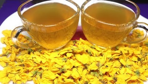Amazing Health Benefits of Avarampoo ~ Senna Auriculata or Cassia ...