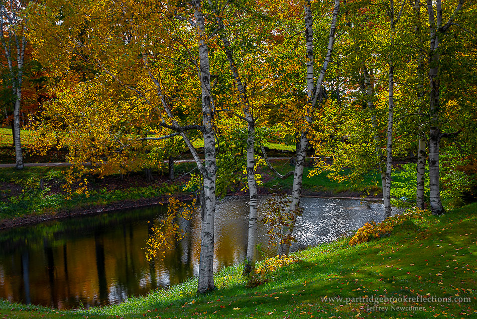 Getting it Right in the Digital Camera : More Catching Up / Autumn 2019