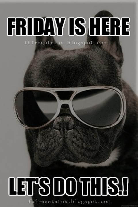 Funny Friday Quotes to Make Your Day Awesome