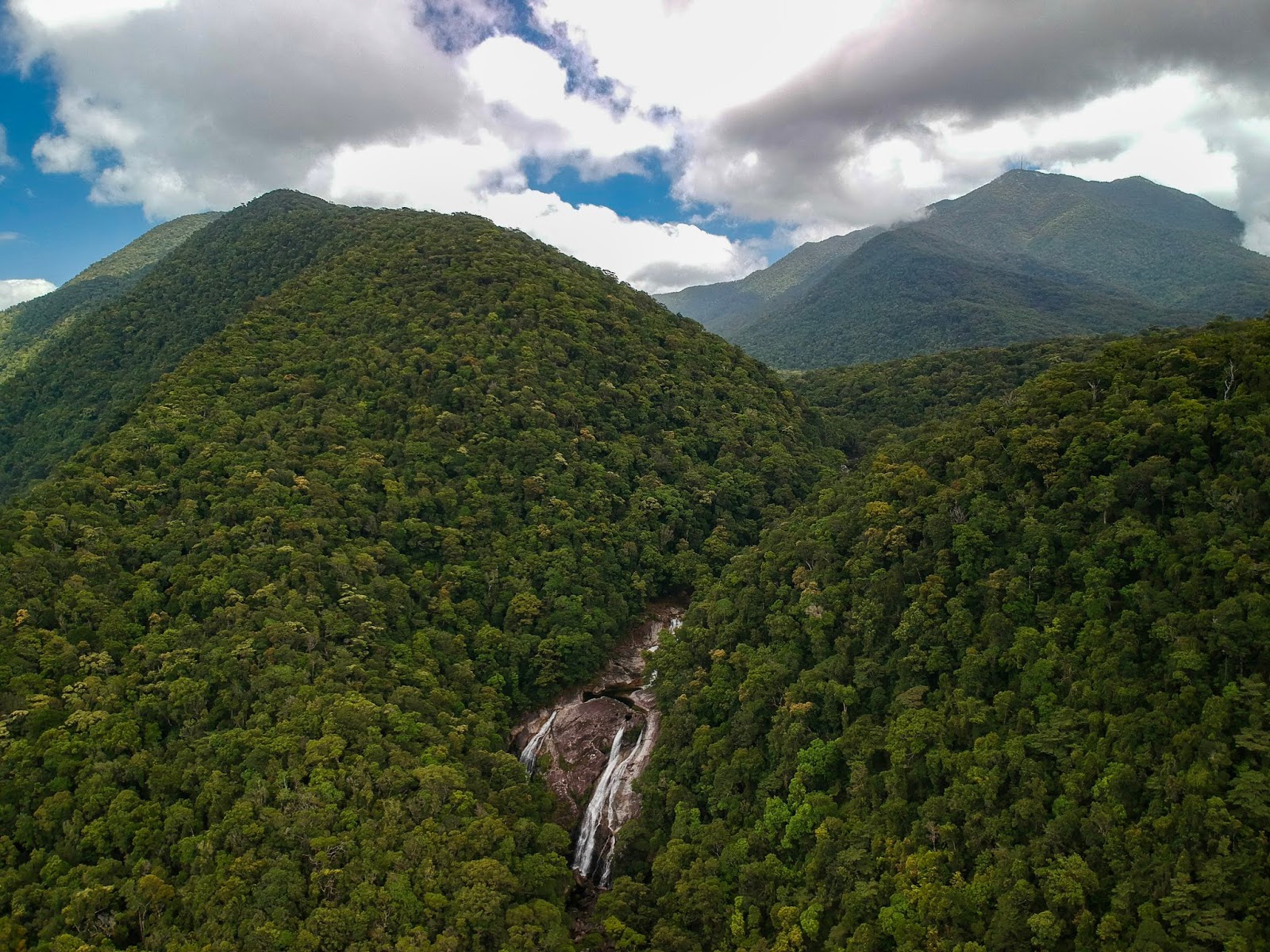To Catch Sight Of.: Green Cliff Falls