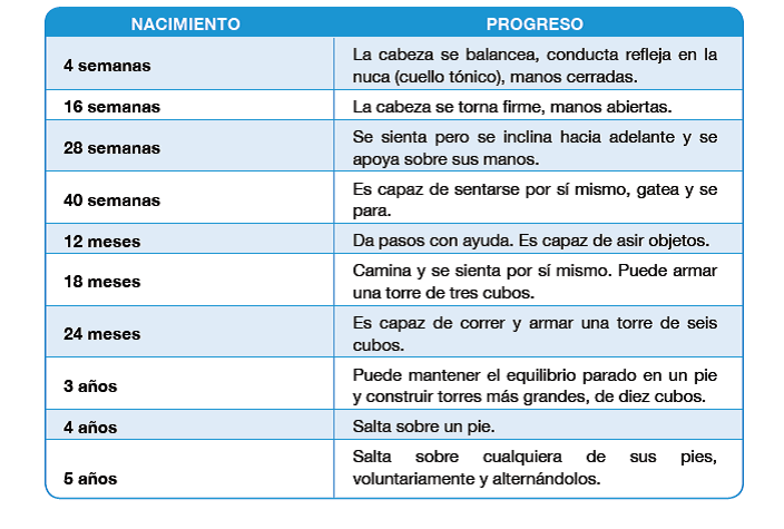 Gesell y el desarrollo motriz