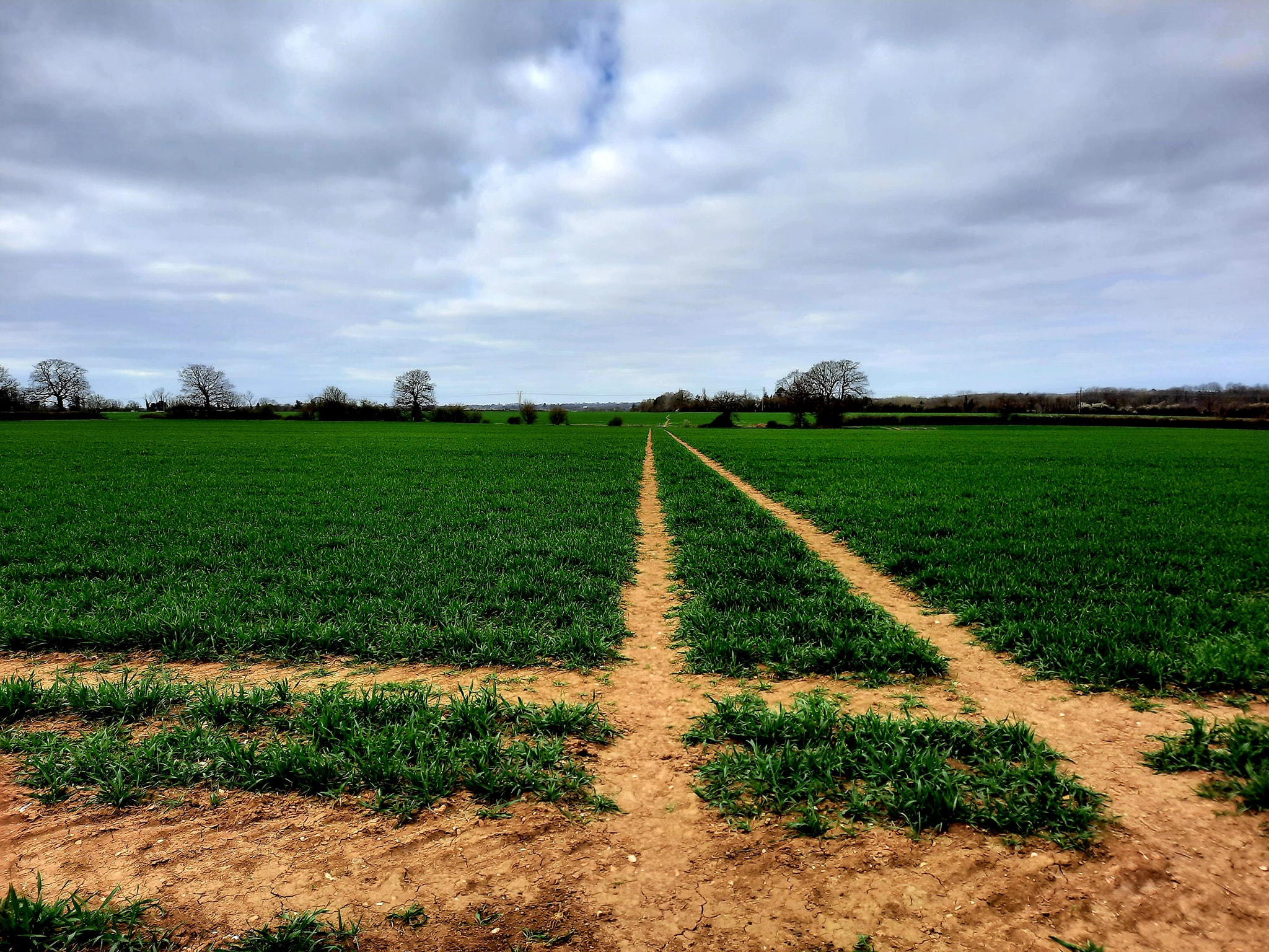 My Adventures 3: Great Dunmow to Stebbing ,Essex Circular 2nd April 2021