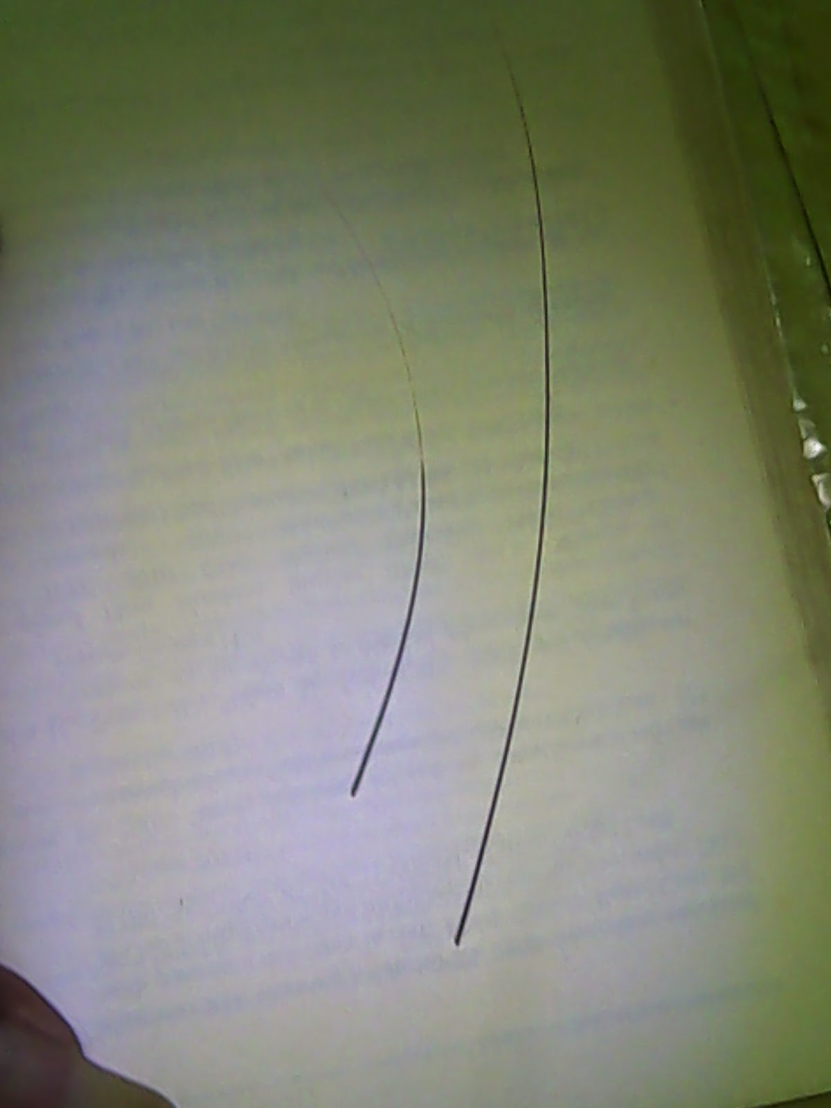 wahana pertanian: Siung Macan