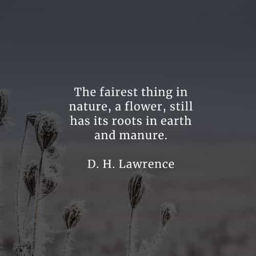 85 Nature quotes that'll inspire to love and value its beauty