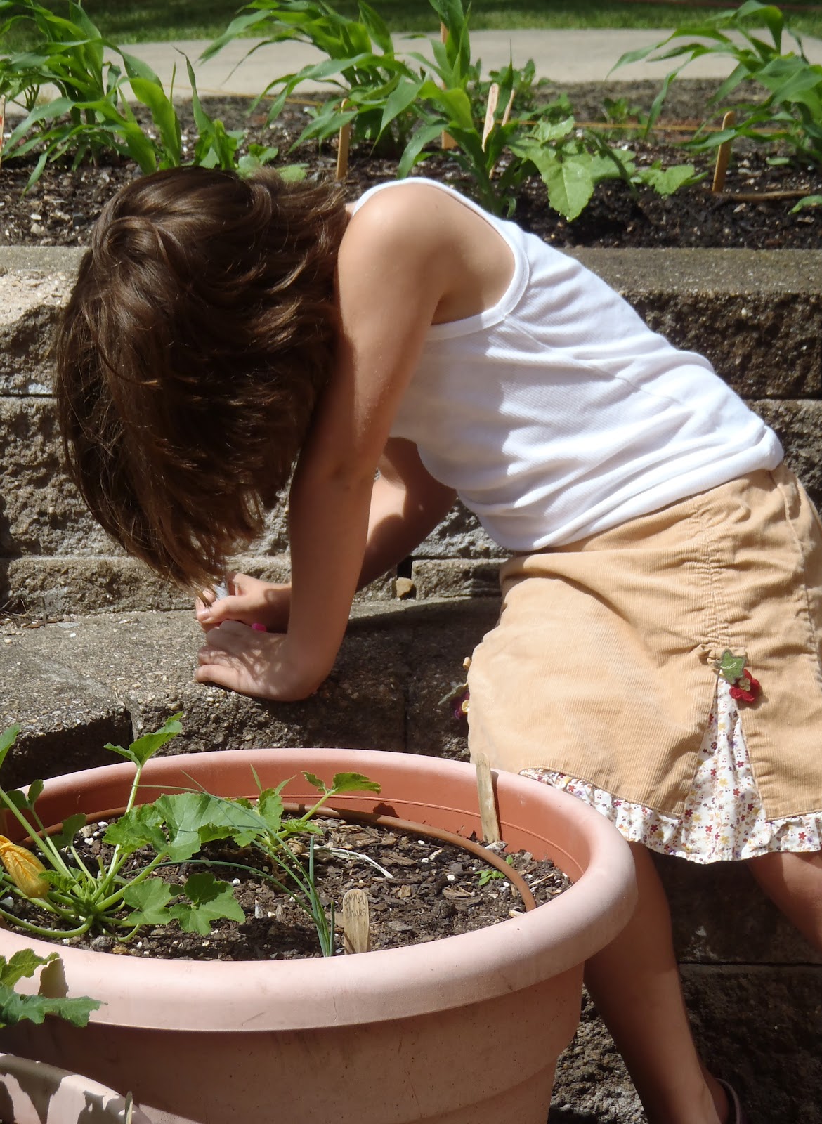Cultivating Kids: Cultivating Kids in the Garden!