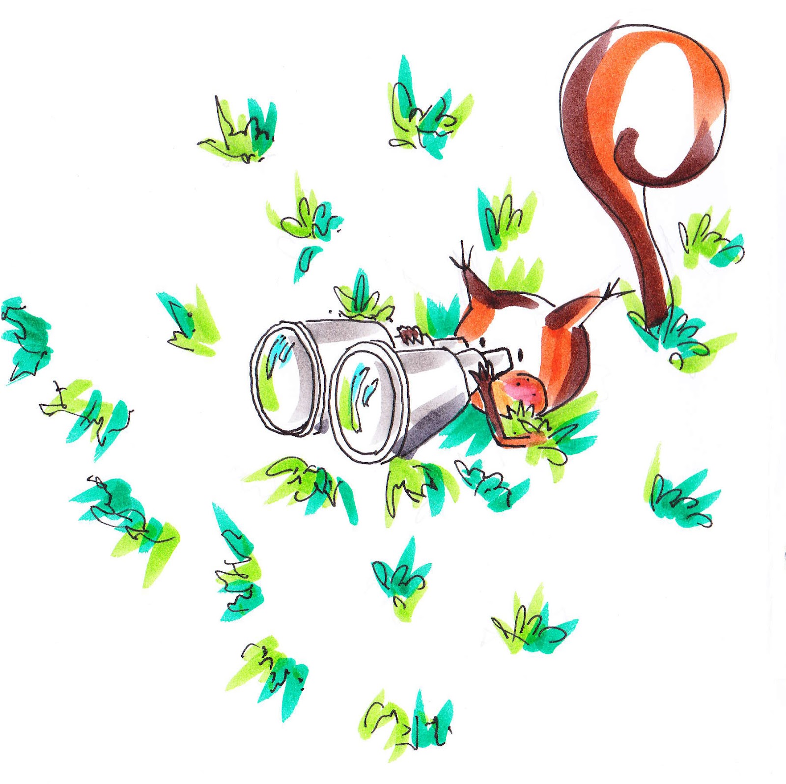 La ardilla cotilla | Cuentos infantiles cortos