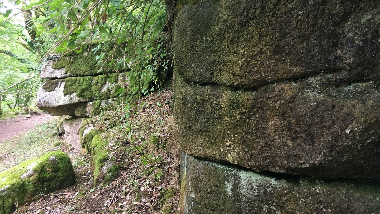 Max Piper - Tor Bagger: Dartmoor: The Two Lesser-Known Tors at Badgers Holt