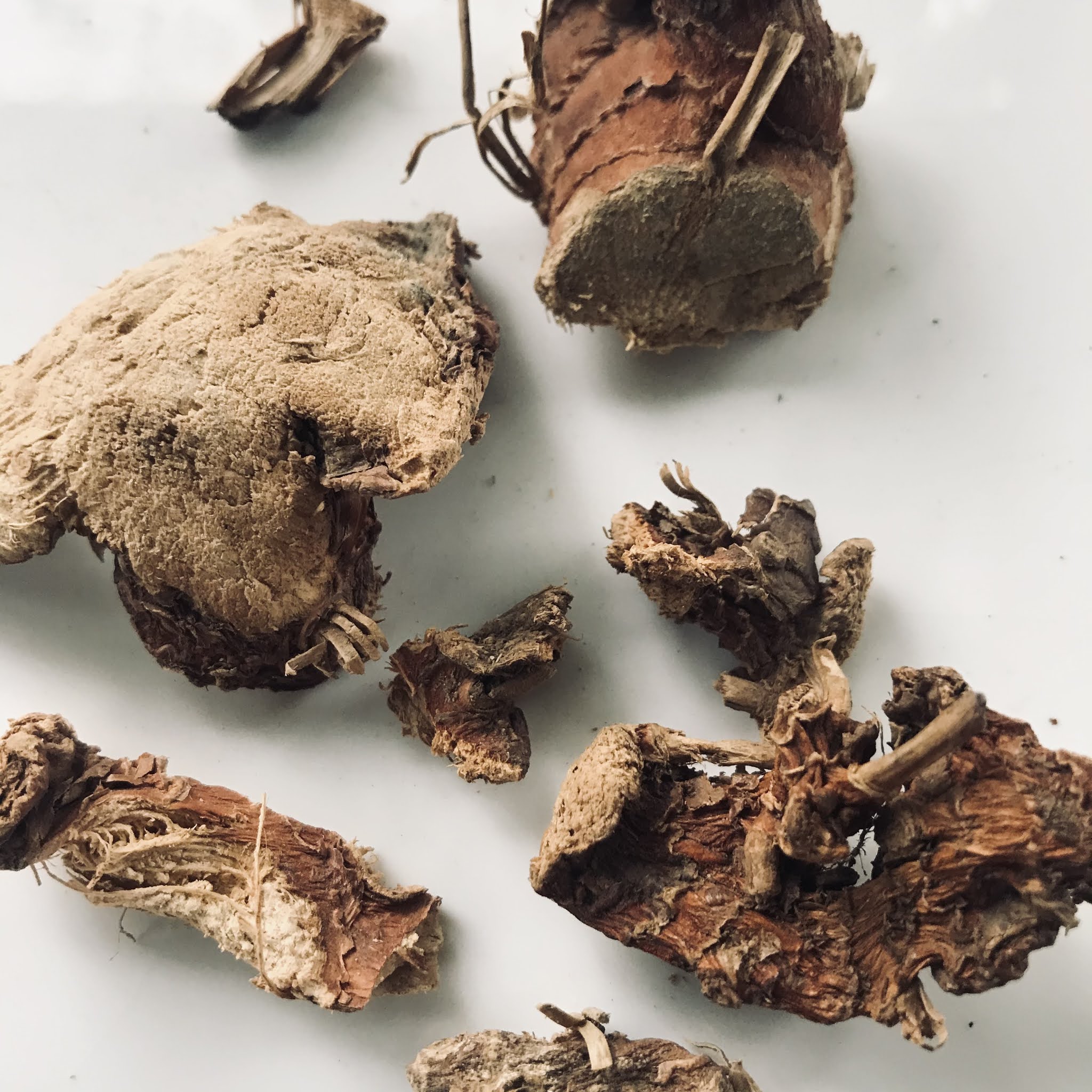 Little John To Chew Root ~ Filipino Conjure & Rootwork