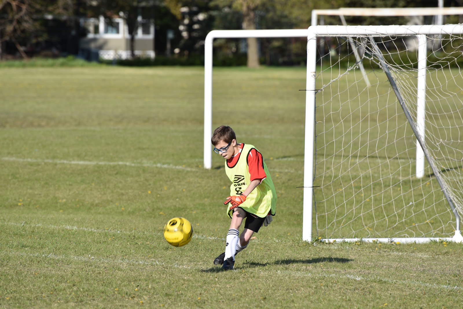 Donald Lepp...My World: 2019