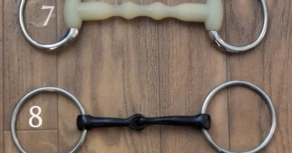 Types Of Snaffle Mouthpieces at Zac Ayers blog