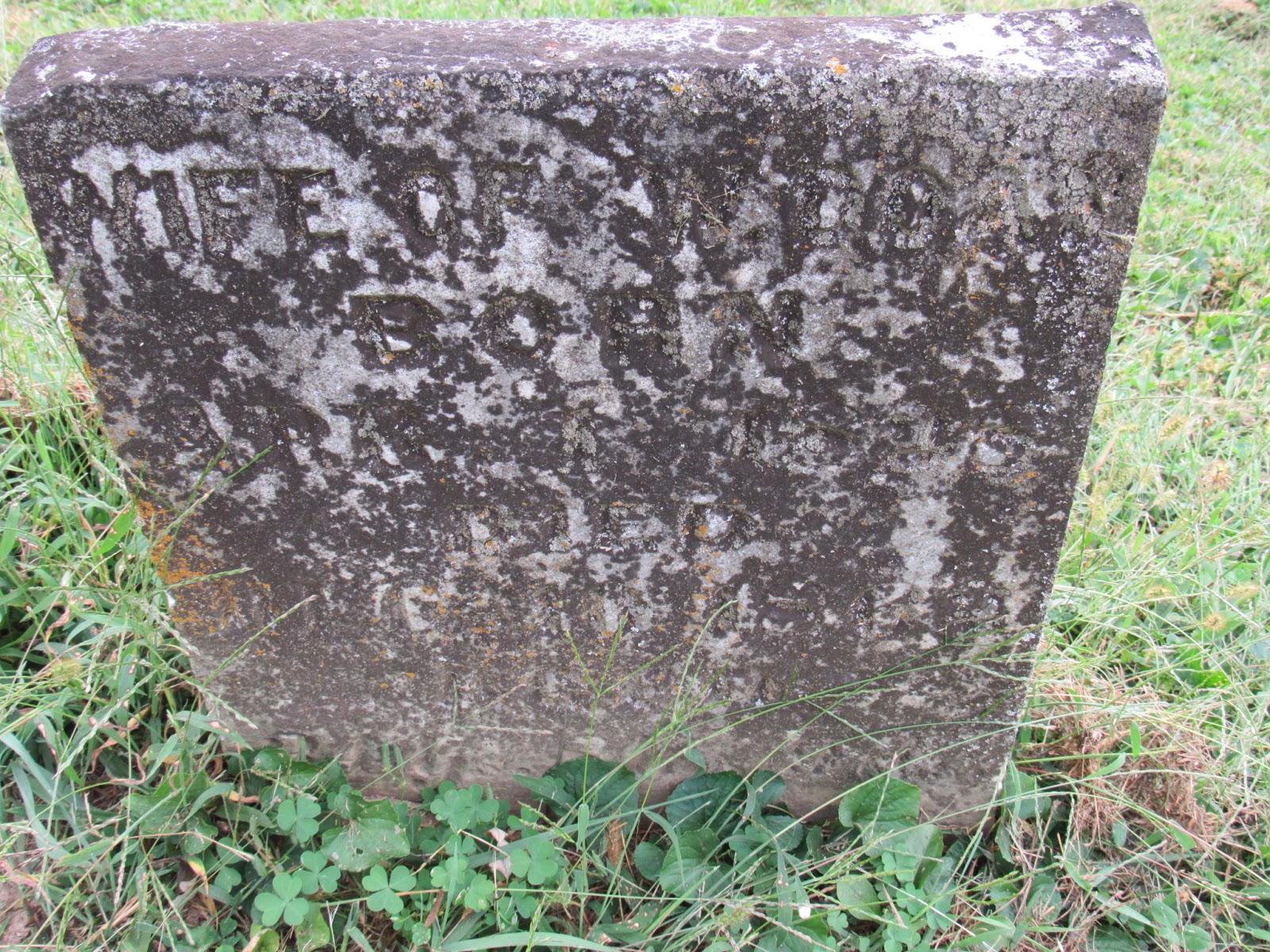 A Walk Through The Tombstones: Hamner Cemetery