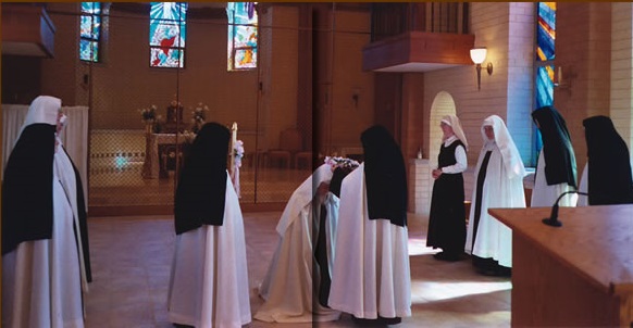 The Badger Catholic: Happy Feast Day to our Carmelites