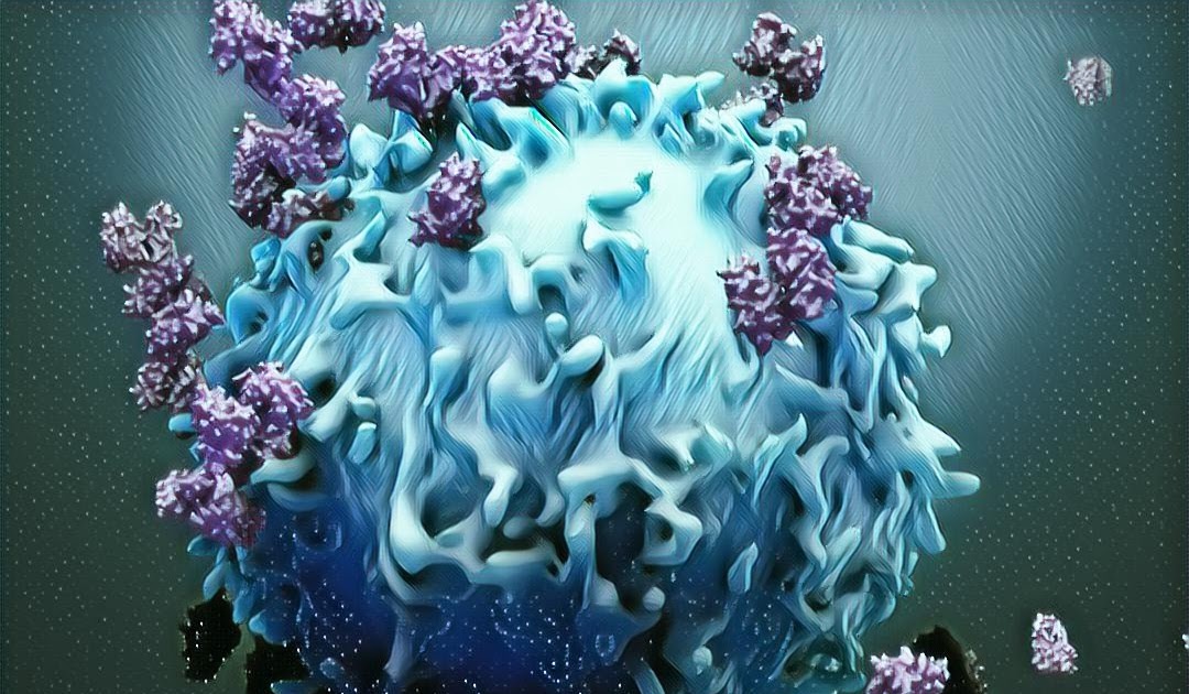 Limfosit: Penjelasan Lengkap - DWI PURWANTO