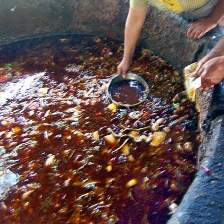 Particolarmente urgentissimo!: Gutter oil (eww!!) - sofisticazione ...