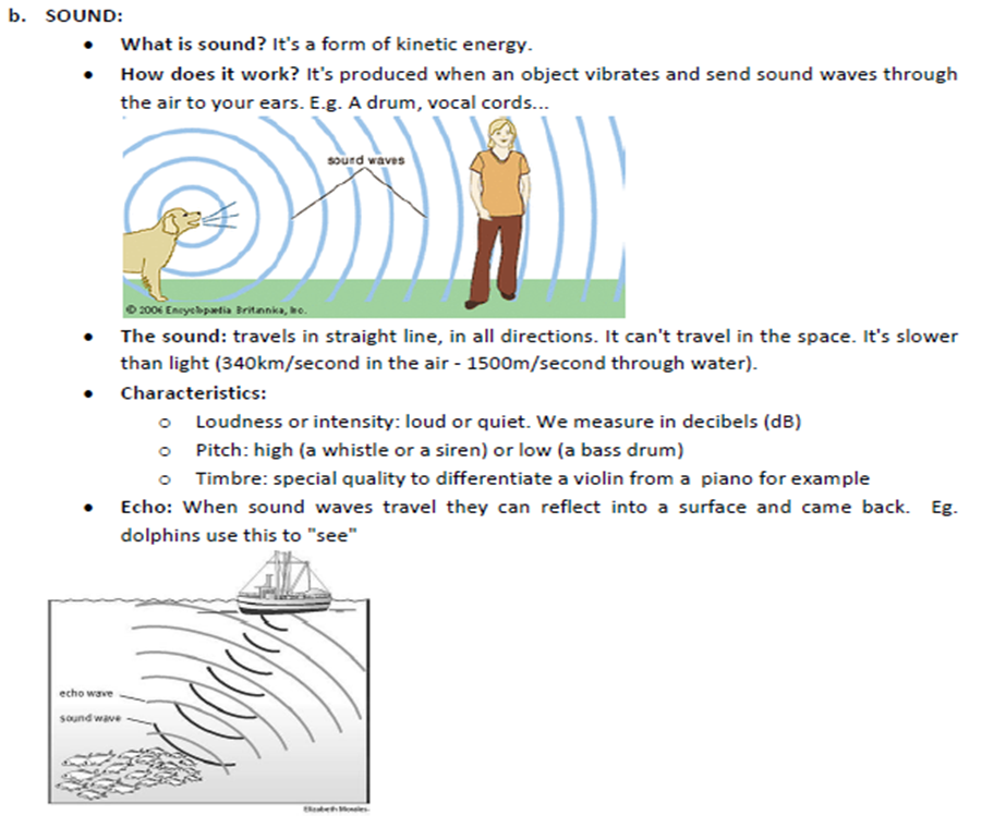 BLOG DE 6º - CEIP Daniel Martín (Alcorcón): NATURAL SCIENCE 20-21 1ST TERM