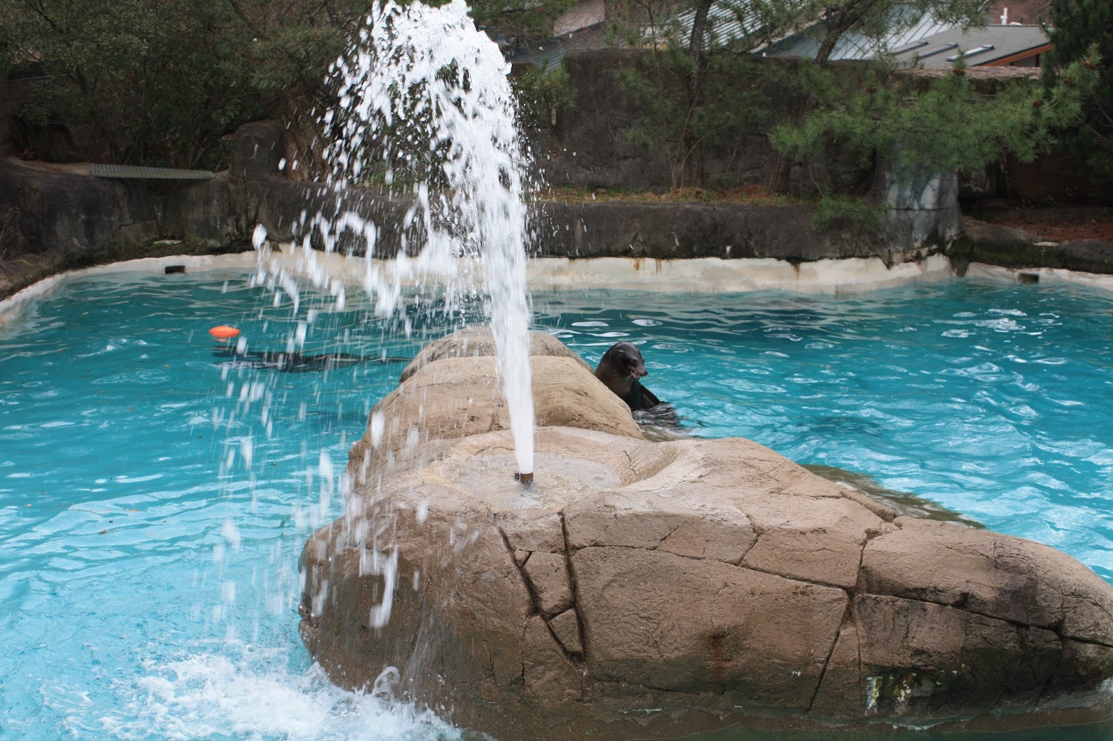 A Little Time and a Keyboard: An Afternoon With the Animals of the ...