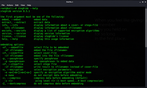 Steganography using STEGHIDE