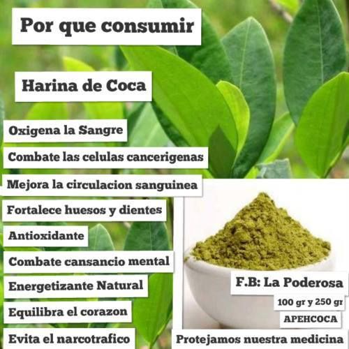 Coca Orgánica Libre e Informada: Por que consumir HARINA DE COCA...