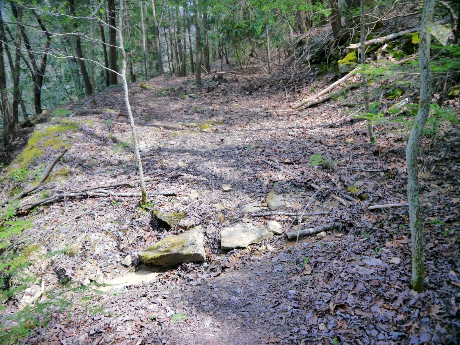 American Travel Journal: Emory River Gorge Section - Cumberland Trail ...