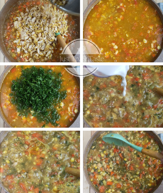 Resep Sup Ayam Ala Afghan | Just Try & Taste
