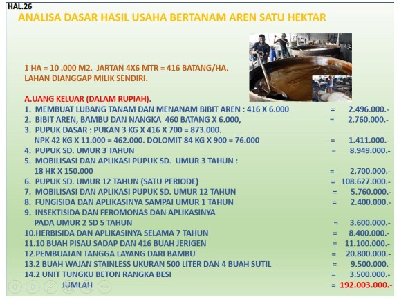 Budidaya Aren : Cara Menanam Aren Di Lahan Gambut