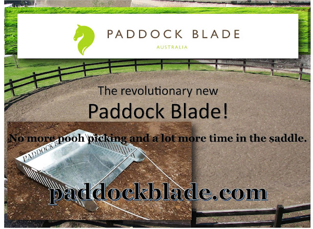 Riding & Writing...: Paddock Blade