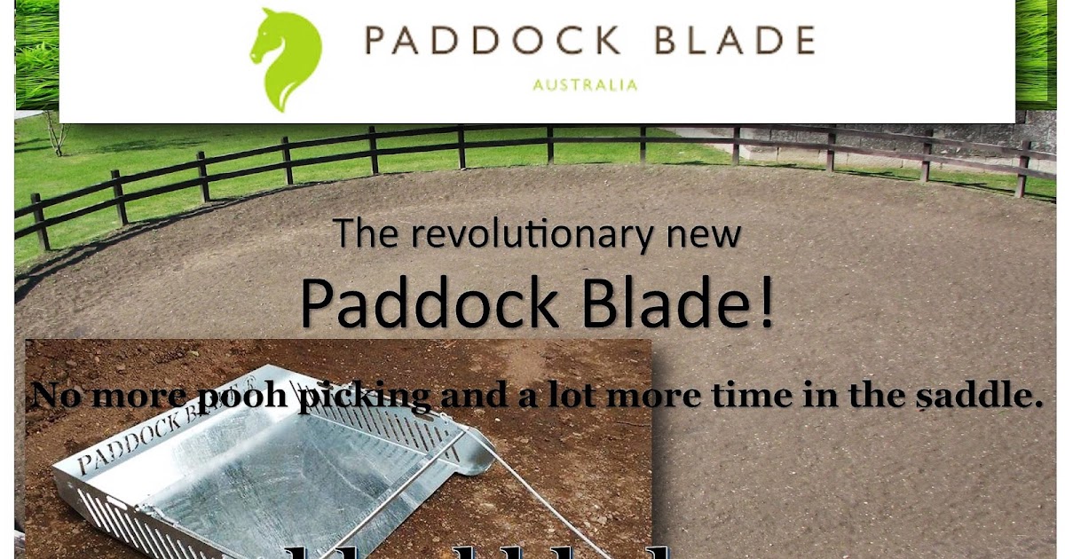 Riding & Writing...: Paddock Blade