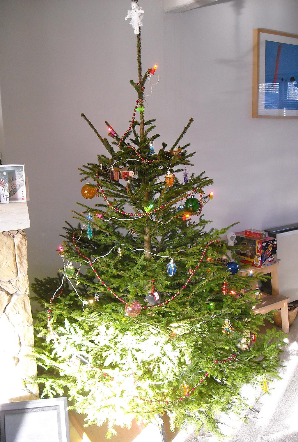 黒い虹Blackrainbow 黒い虹: Christmas Trees Around the World