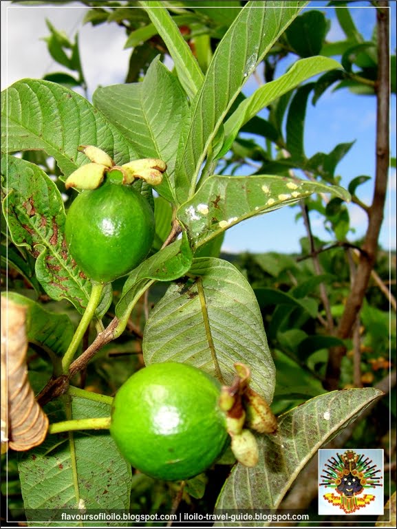 A cake made with native guava