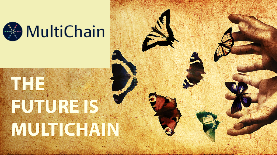 A Comprehensive Guide on Multichain