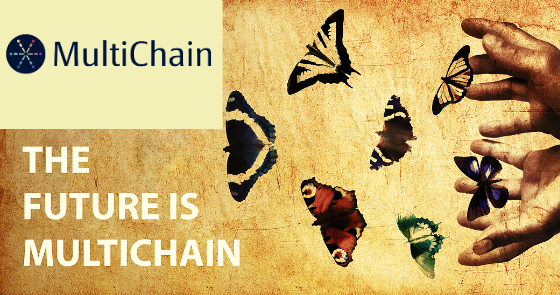 A Comprehensive Guide on Multichain