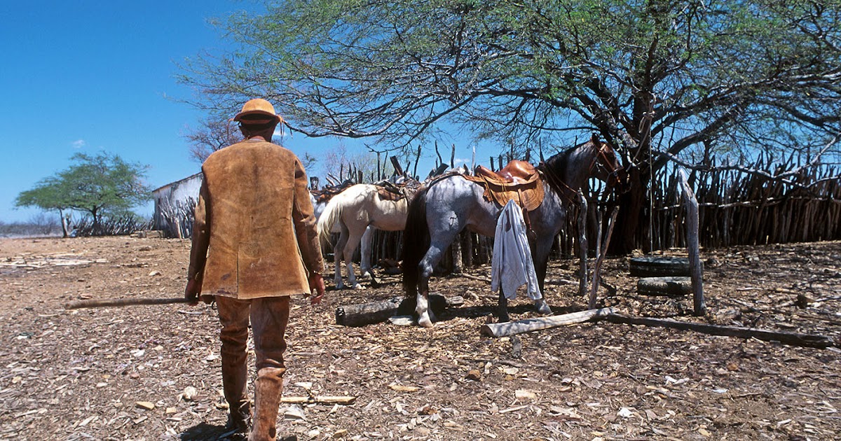 A CAATINGA QUE VOCÊ NÃO CONHECE