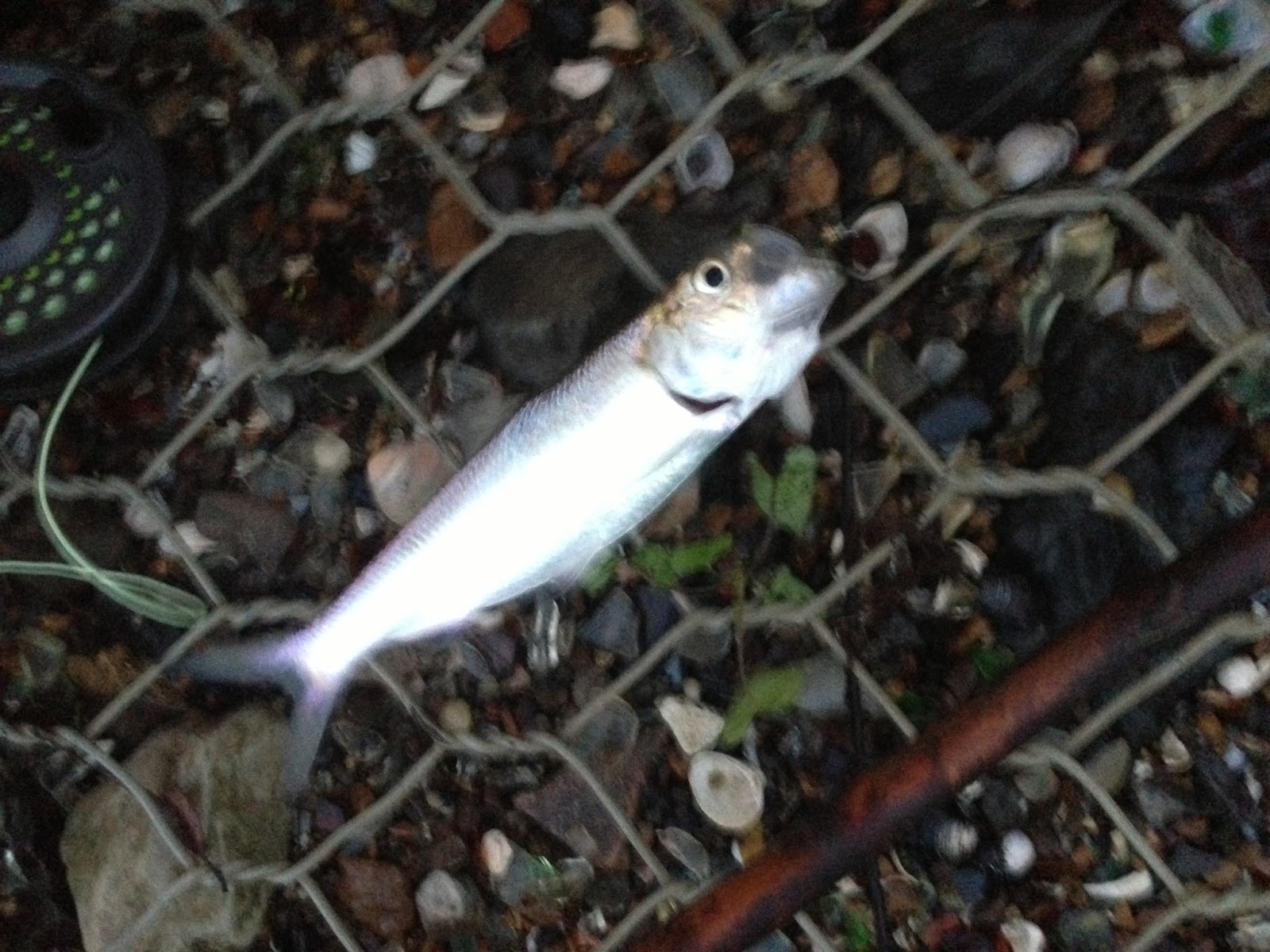 What is literature?: August 2013