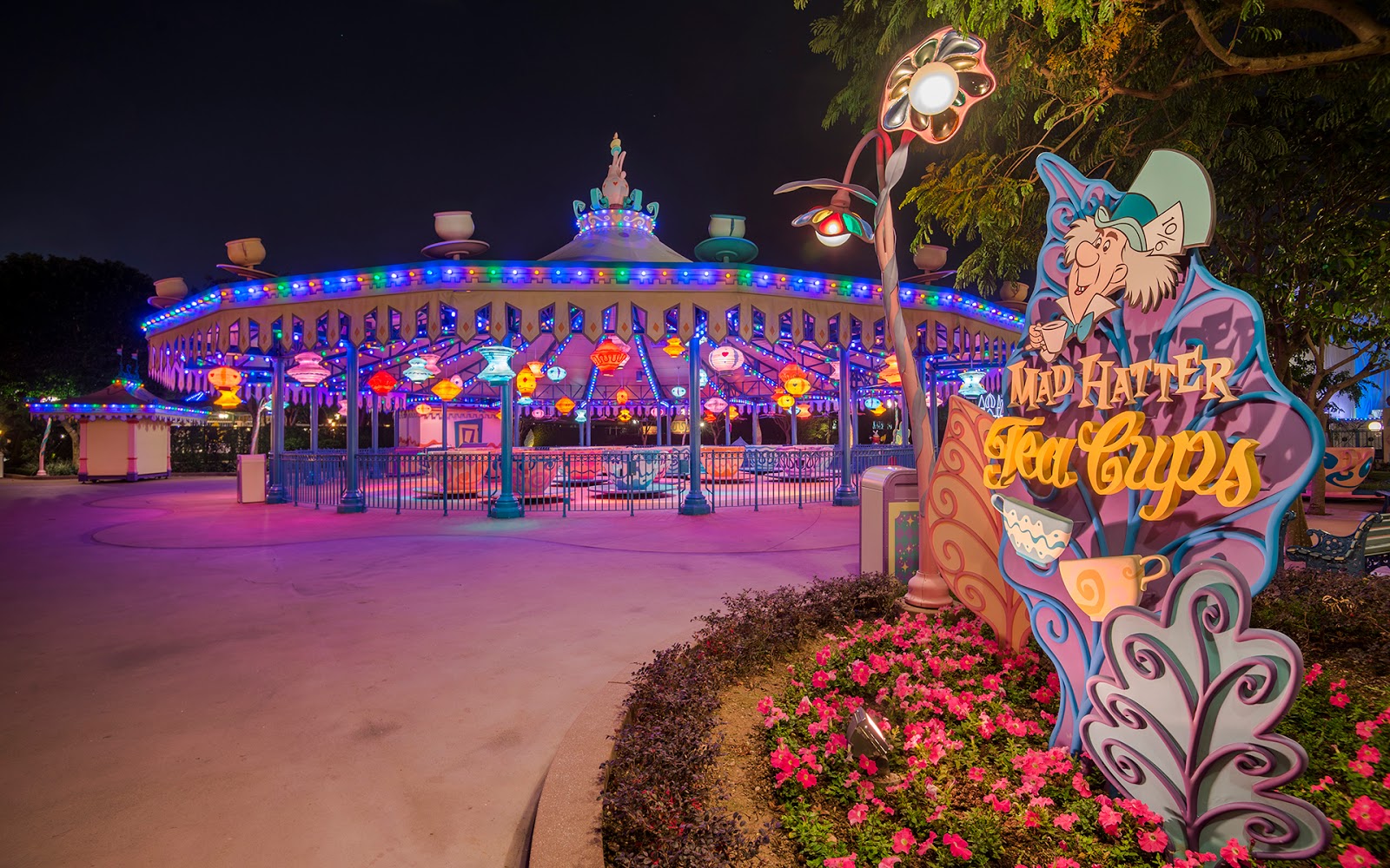 Late Night Hong Kong Tea