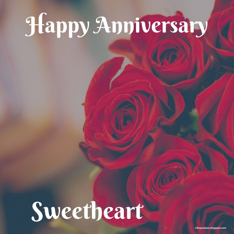 151+ Happy Anniversary Images And Photos Free | HD IMAGES