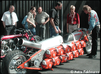 O Desenvolto: Conheça a Dolmette!