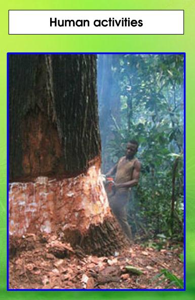 Discovers Living Things: Impact Of Human Activities On Environment Part 1