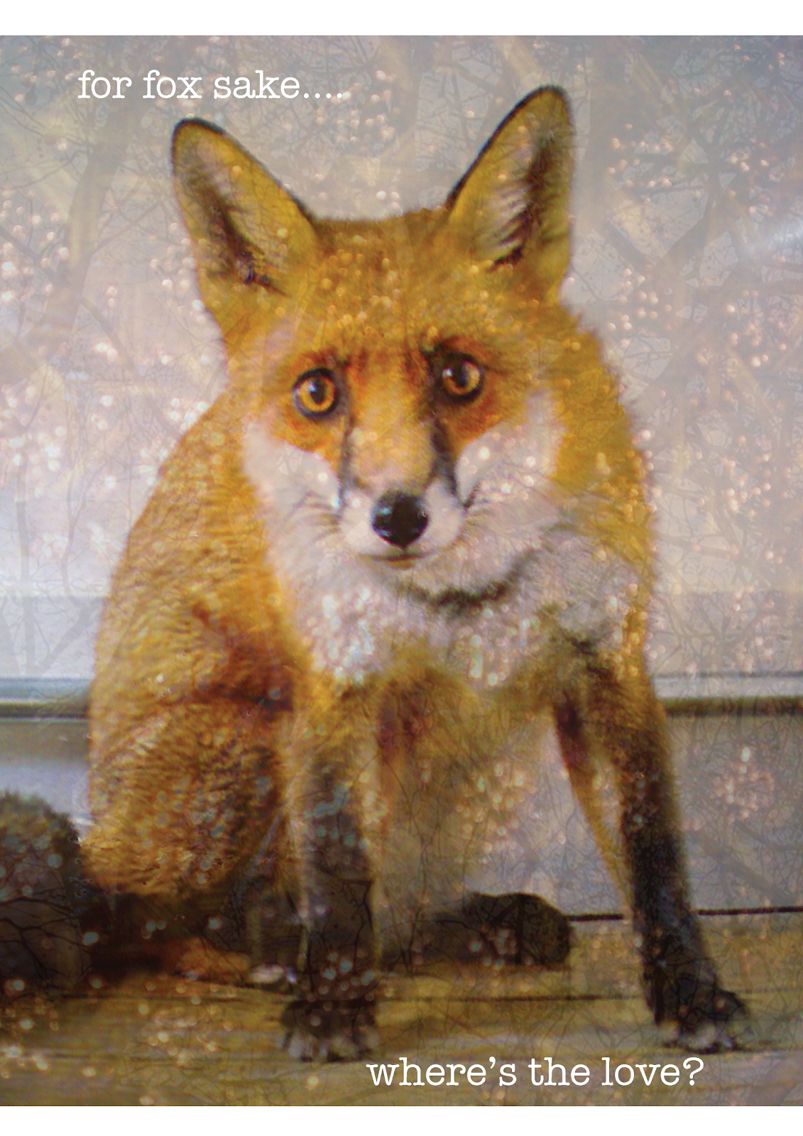 the PoRtfolio of the FandanGoe KiD: /// for fox sake,,,,anti-fur ...