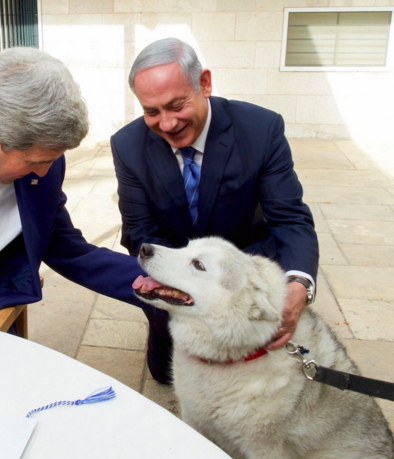 Drama As Israeli PM Netanyahu's Dog Bites Guests At Hanukkah Party In ...