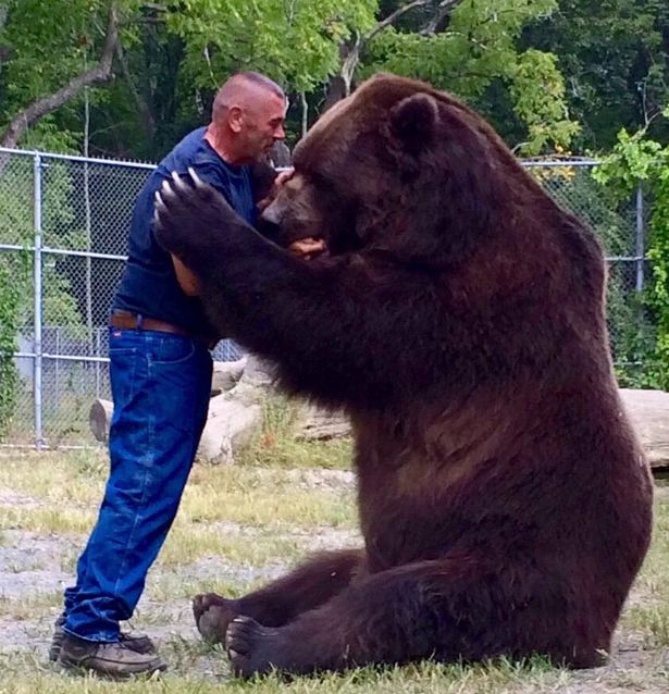 News highlights: Incredible pictures of couple who live with 9ft tall bear