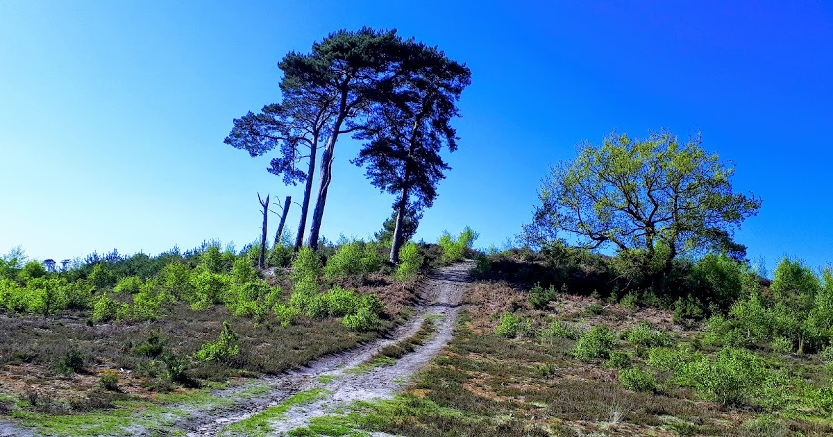 Guildford circuit: Pirbright, Ash Ranges and Normandy